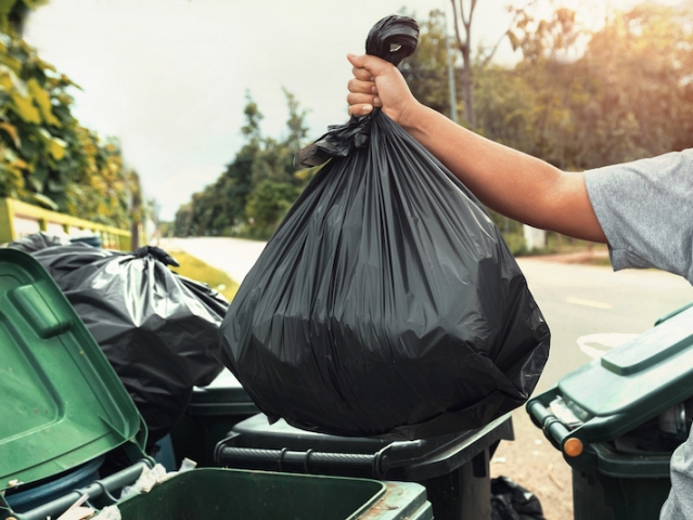 How to Pest-Proof Your Garbage Cans – Fashion Enzyme